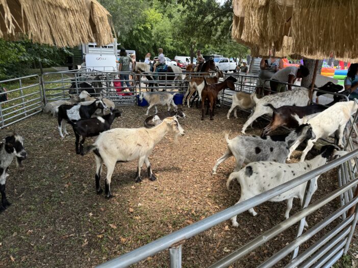 Conway Riverfest